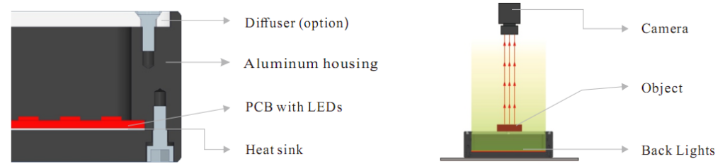 Back Lights - SBS VISION Back Lights SBS VISION